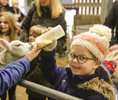 Essex Events at Barleylands Farm Park, The Village and Showground
