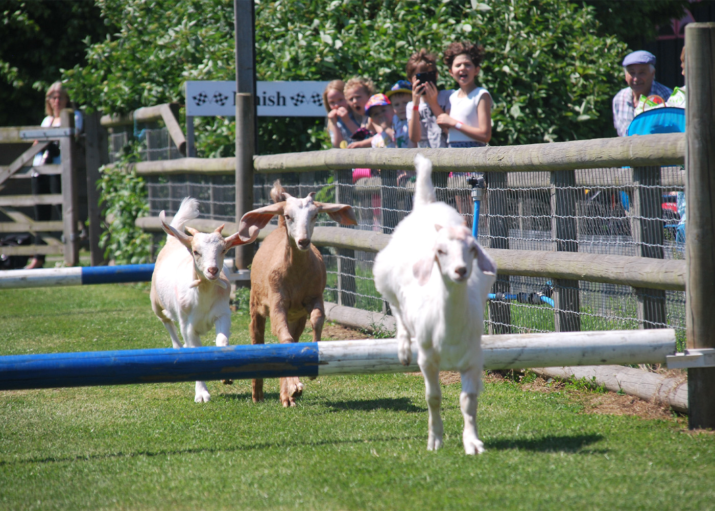 Barleylands Farm Park and Craft Village Home Page