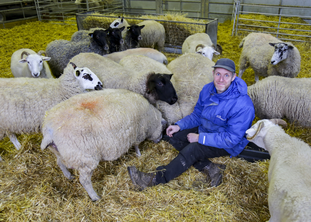 Lambs are on the way! - Barleylands