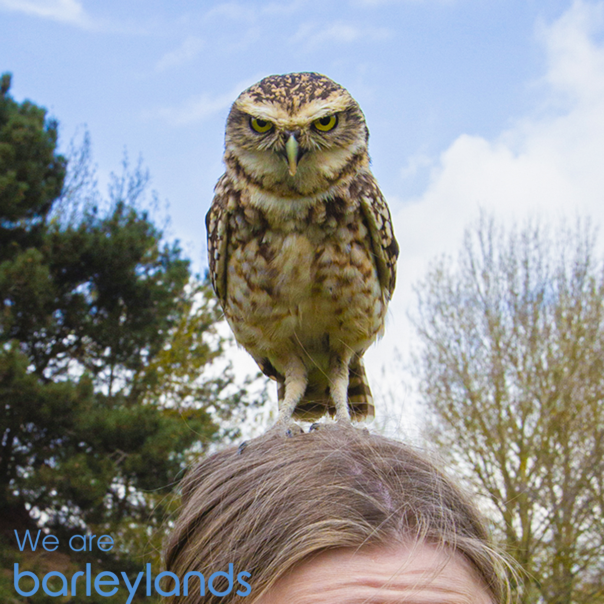 722A6177 logo - Barleylands