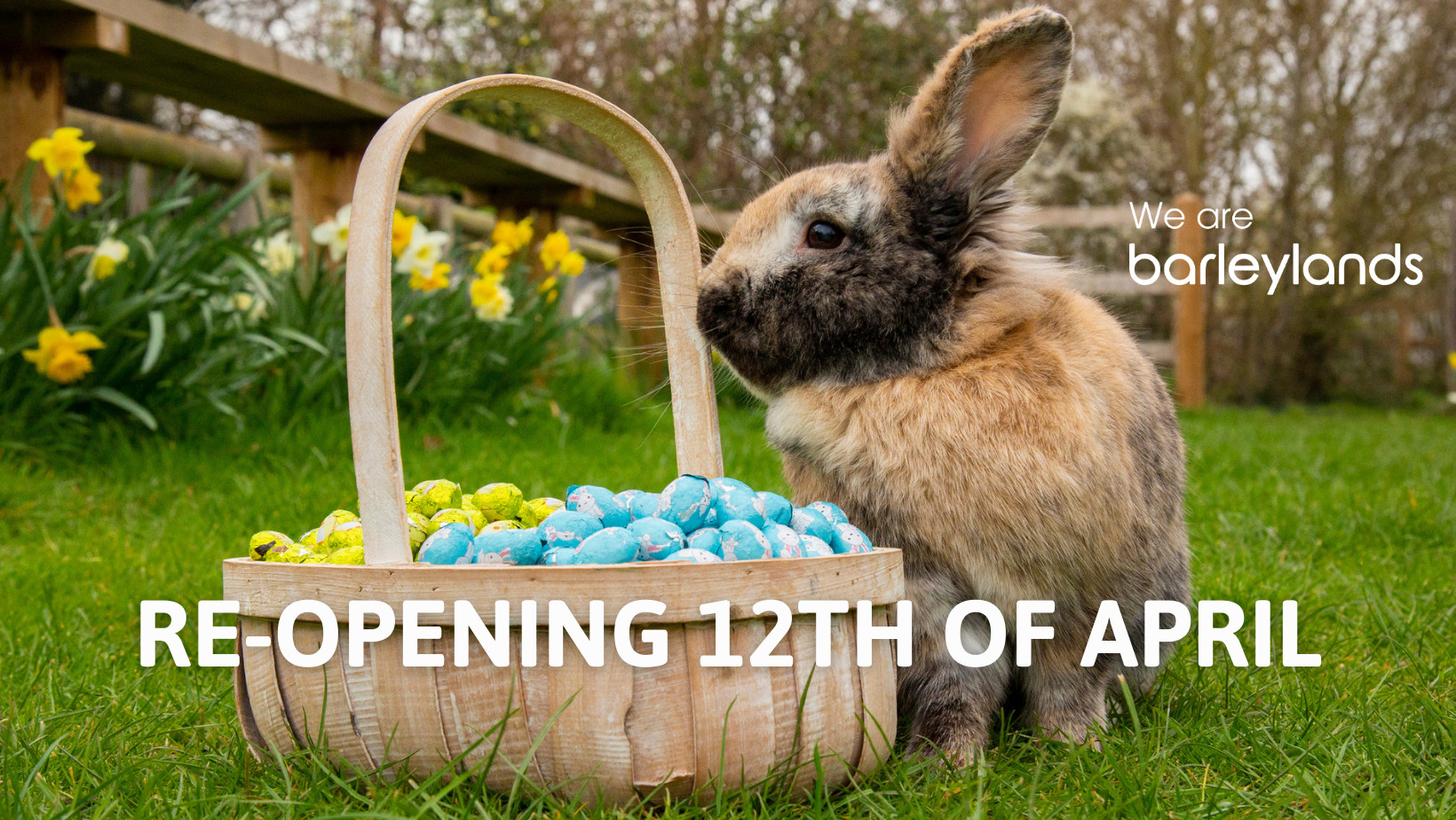 Barleylands Farm Park Re-opening 12th of April (1) - Barleylands