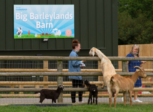 Feeding - Barleylands