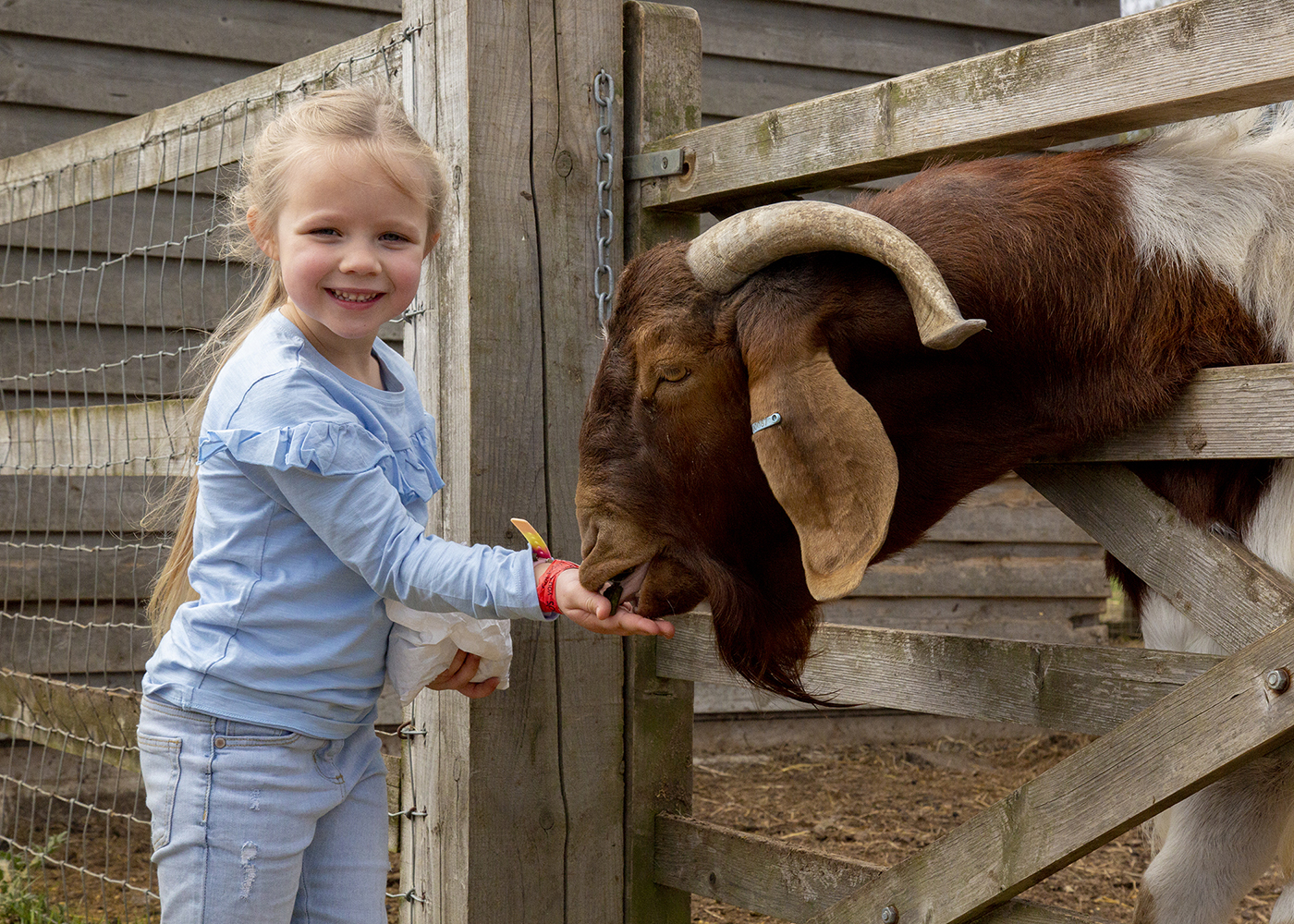 NEW! - Exclusive new and renewing members offer! Win a VIP experience ...