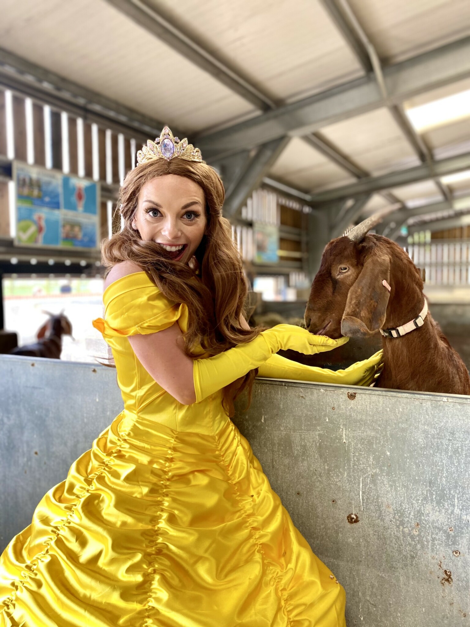 Essex Events at Barleylands Farm Park, The Village and Showground