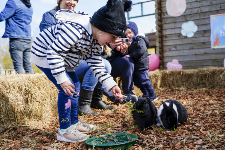 Barleylands Farm Park & Village in Billericay, Essex