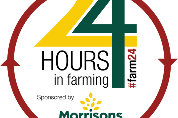 Barleylands Farm Park & Village in Billericay, Essex