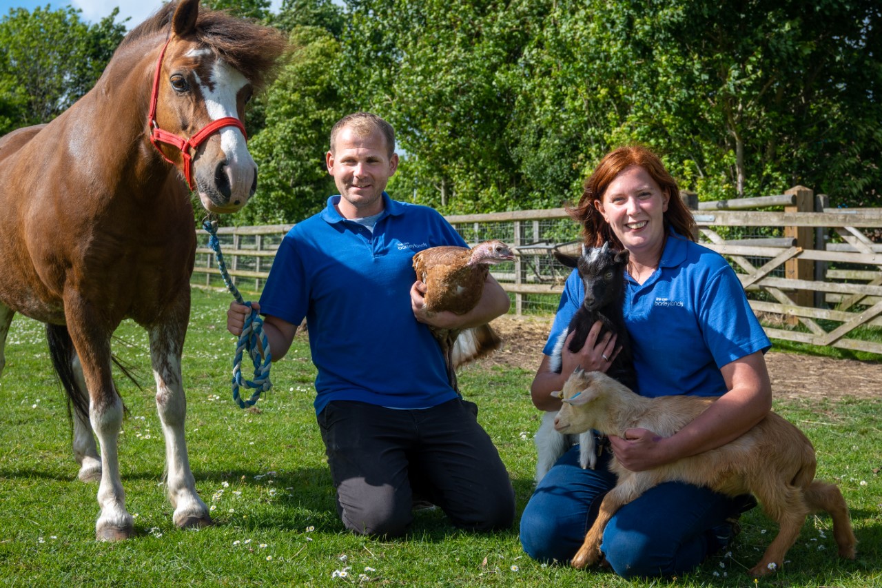 Barleylands Farm Park & Village in Billericay, Essex
