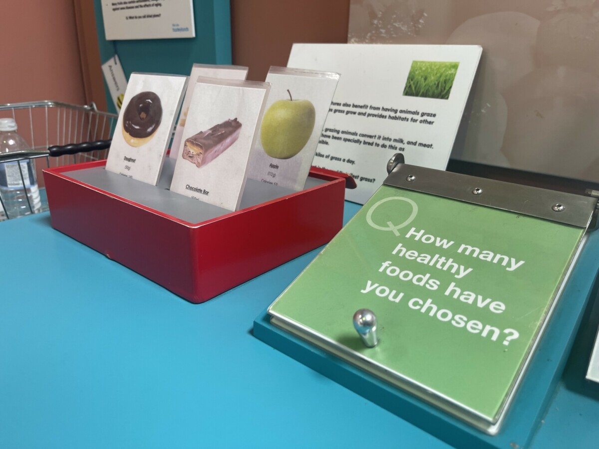 A Wander Through Time - Barleylands