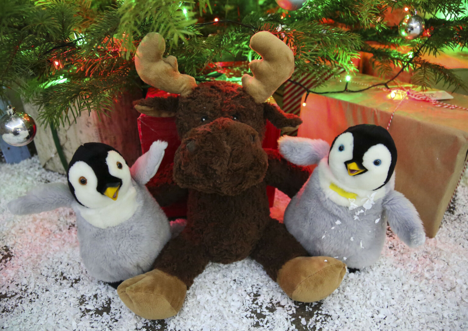 Christmas Visits - Barleylands