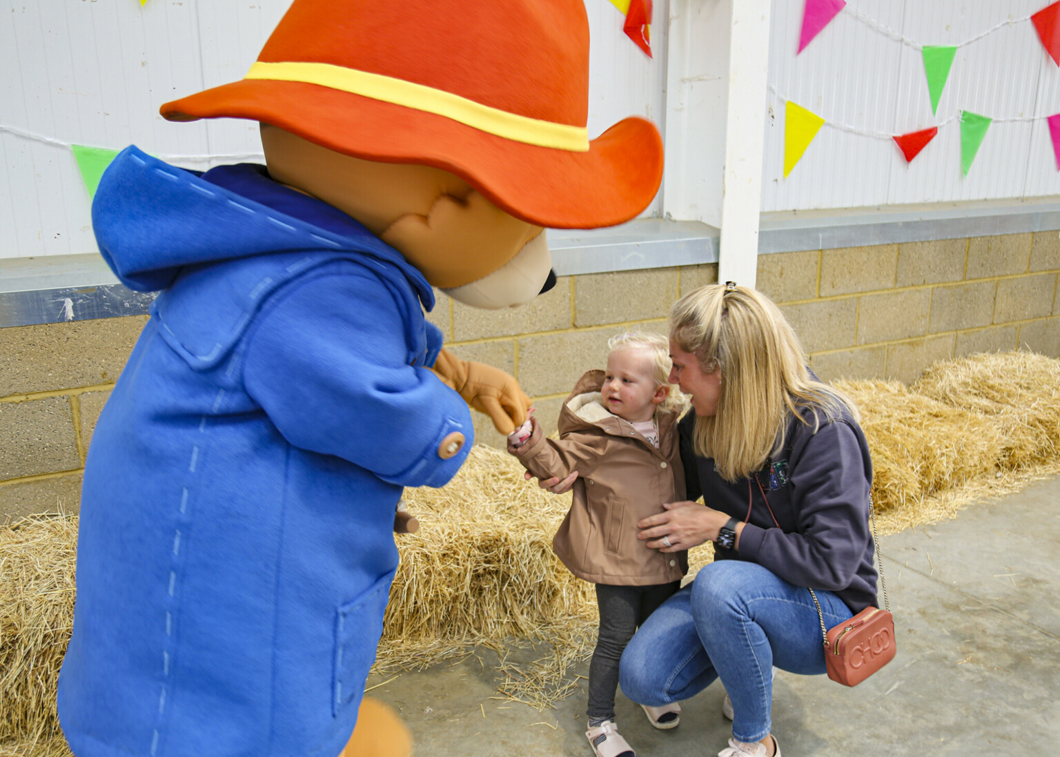 Teddy Bear’s Picnic Weekend with Paddington Gallery - Barleylands