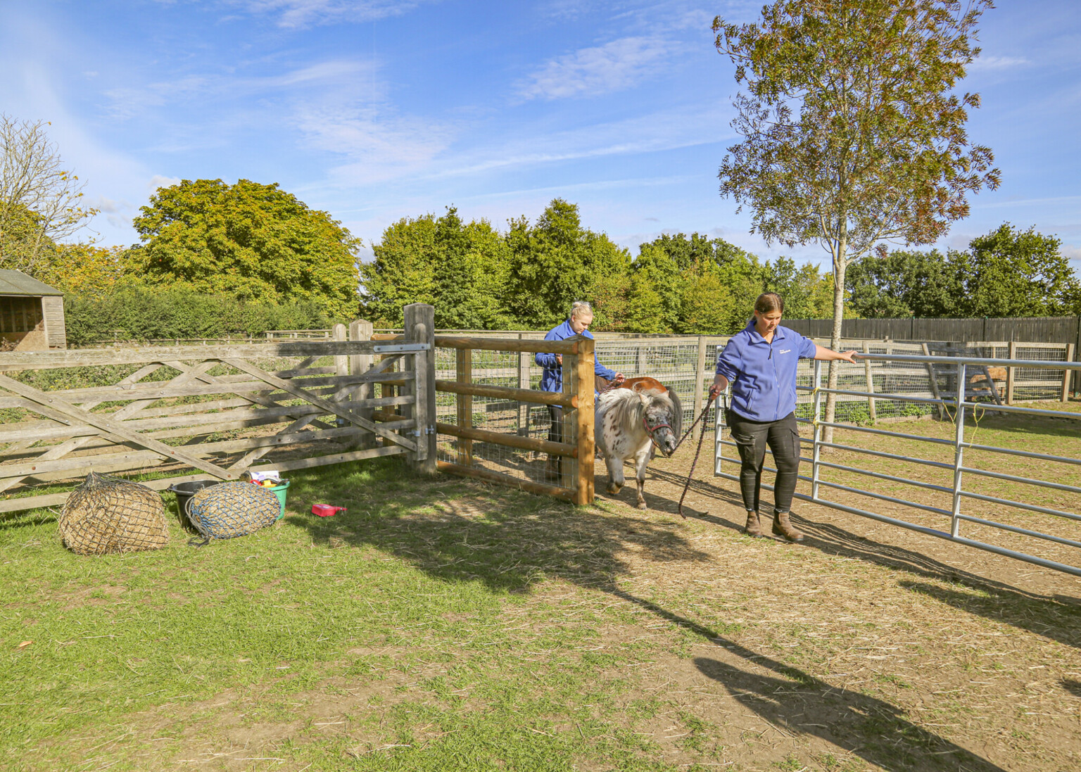 Pony Grooming at Barleylands Photo Gallery - Barleylands
