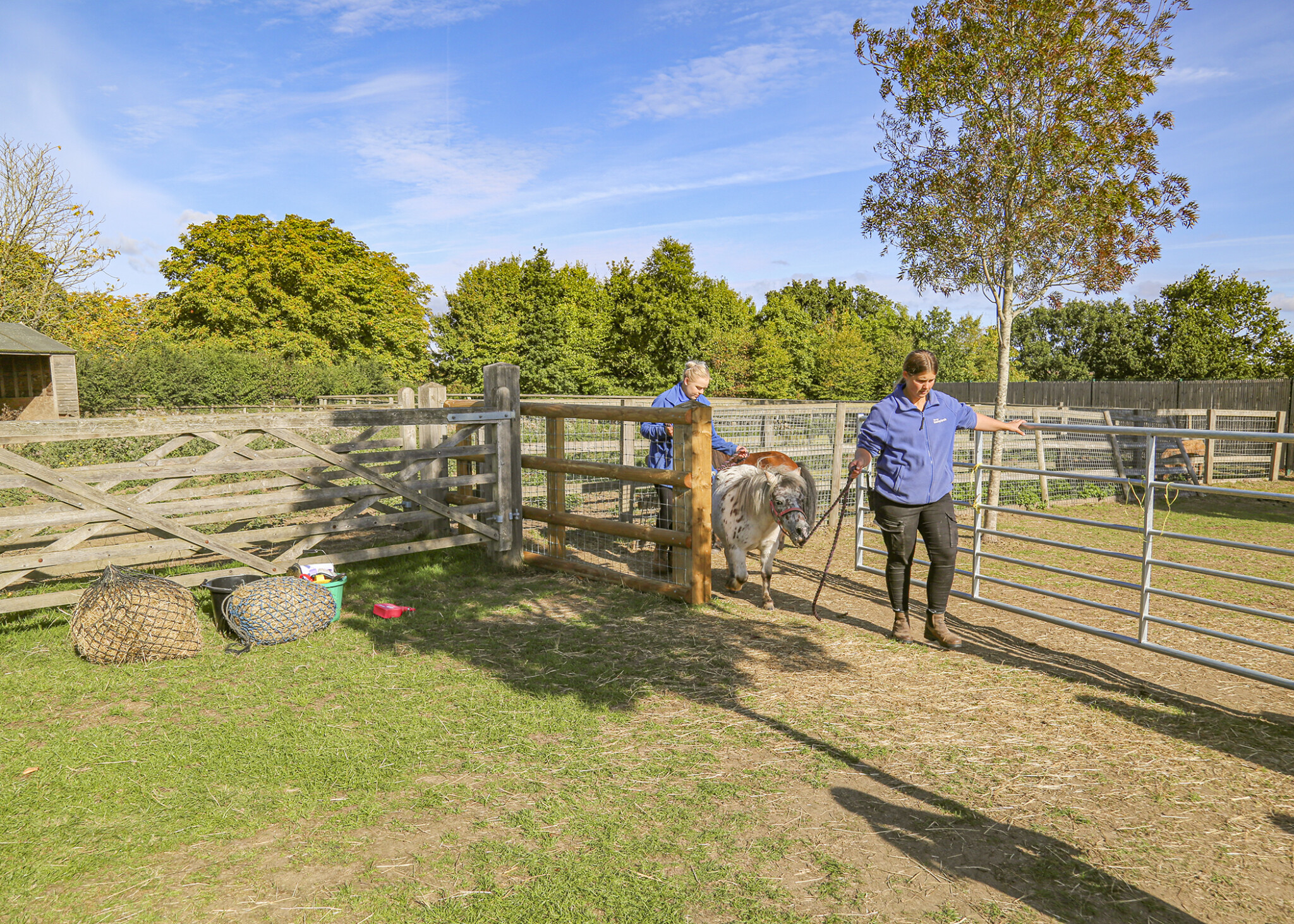 Pony Grooming at Barleylands Photo Gallery - Barleylands