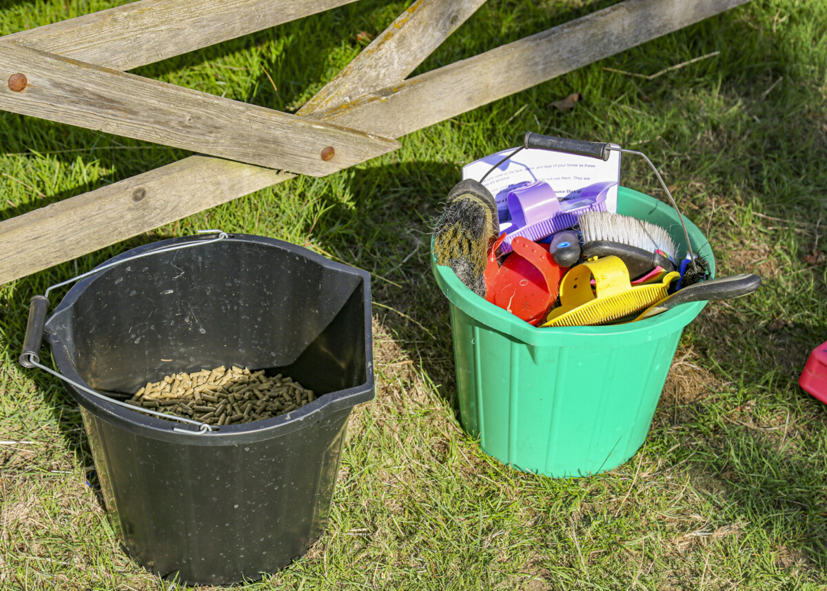 Pony Grooming at Barleylands Photo Gallery - Barleylands