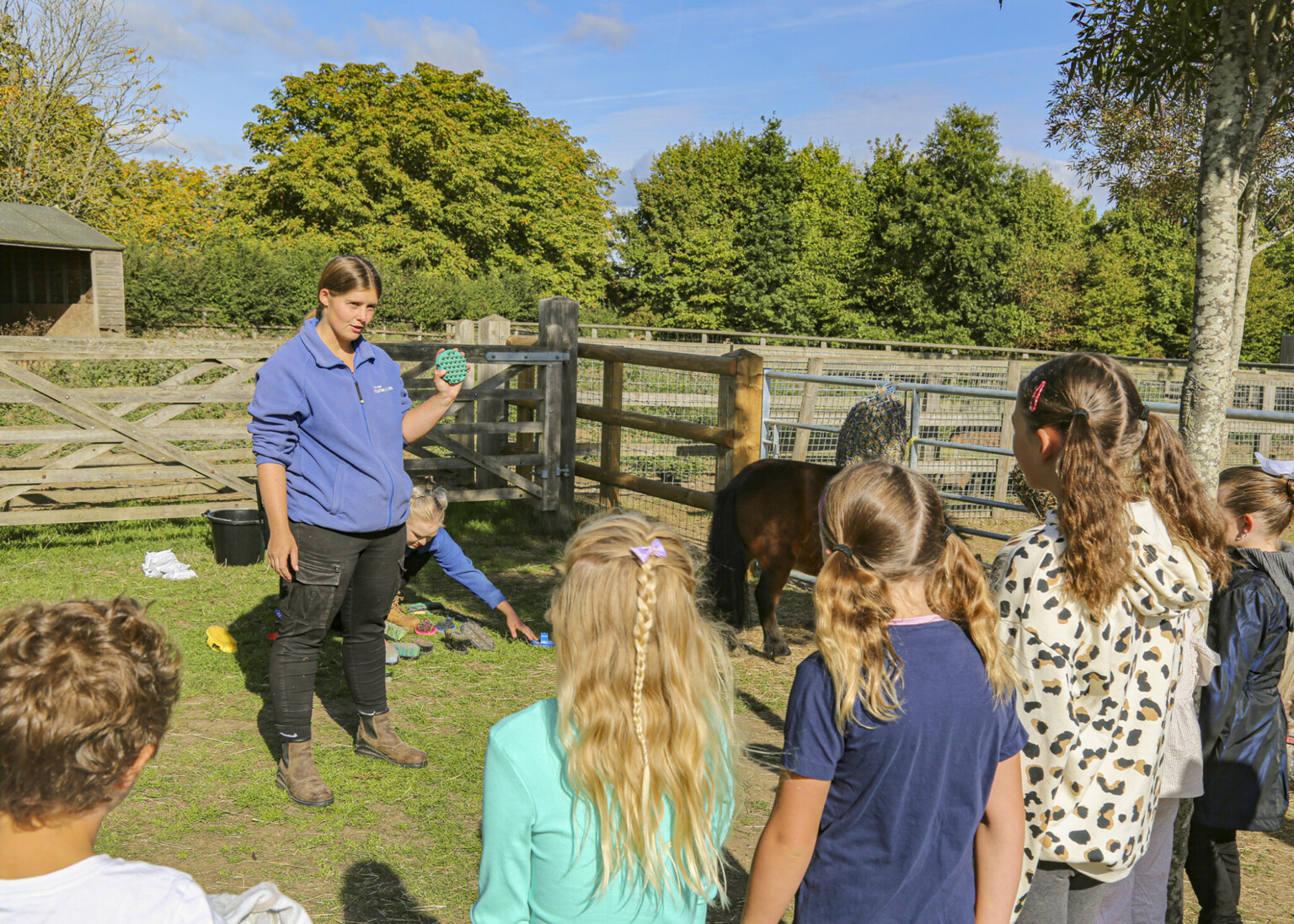 Pony Grooming at Barleylands Photo Gallery - Barleylands