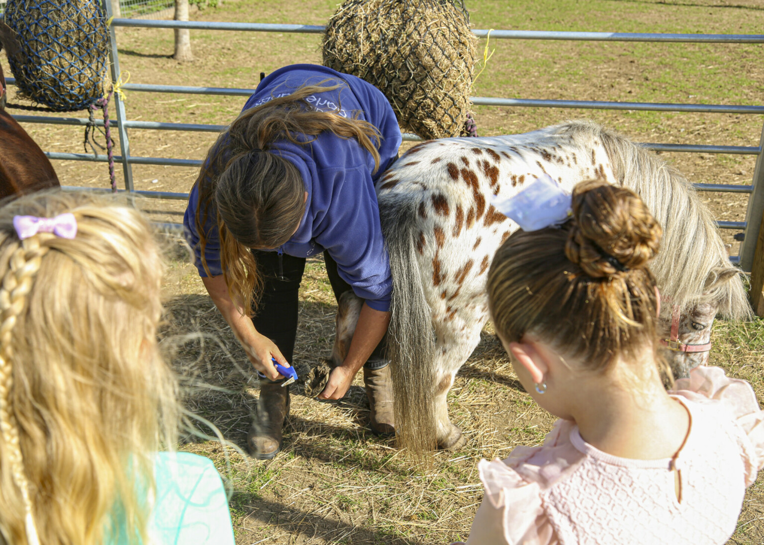 Pony Grooming at Barleylands Photo Gallery - Barleylands