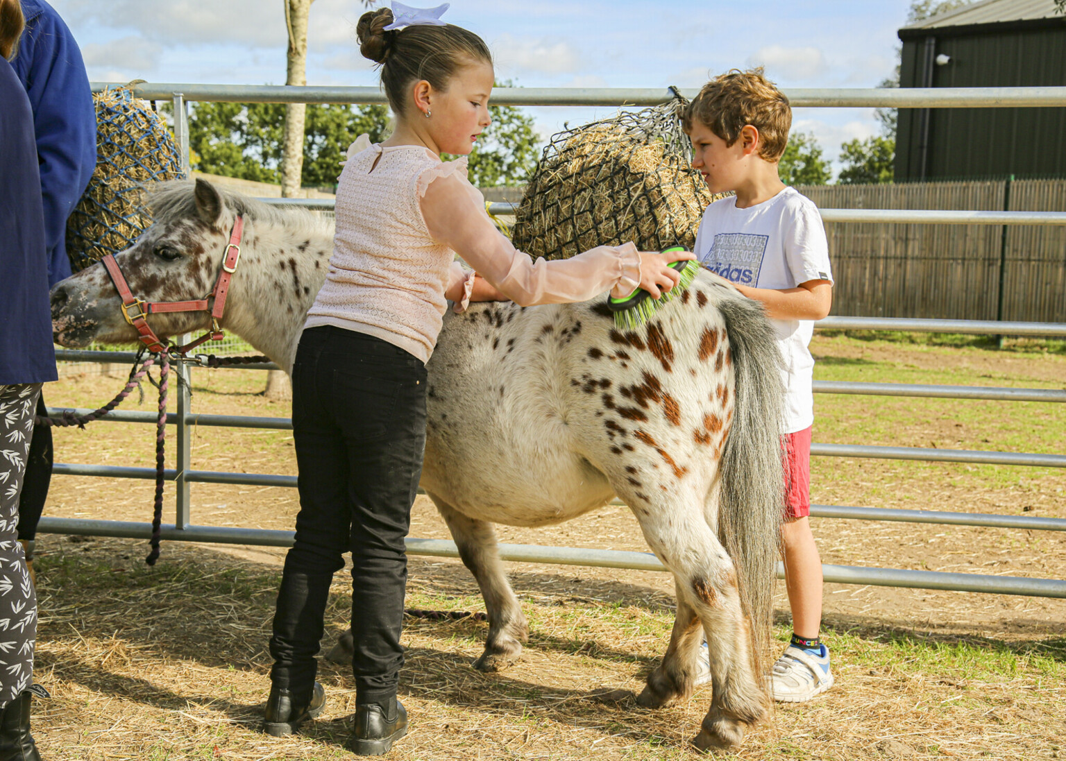 Pony Grooming at Barleylands Photo Gallery - Barleylands