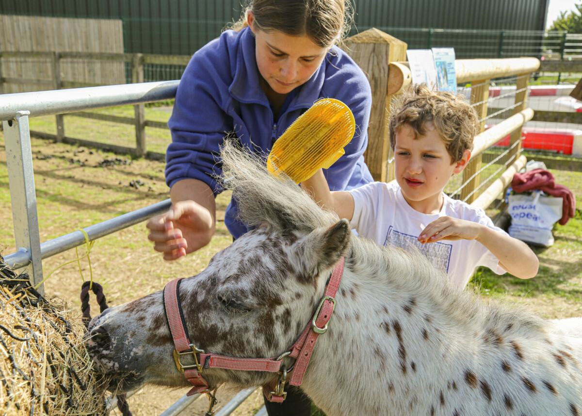 Pony Grooming at Barleylands Photo Gallery - Barleylands