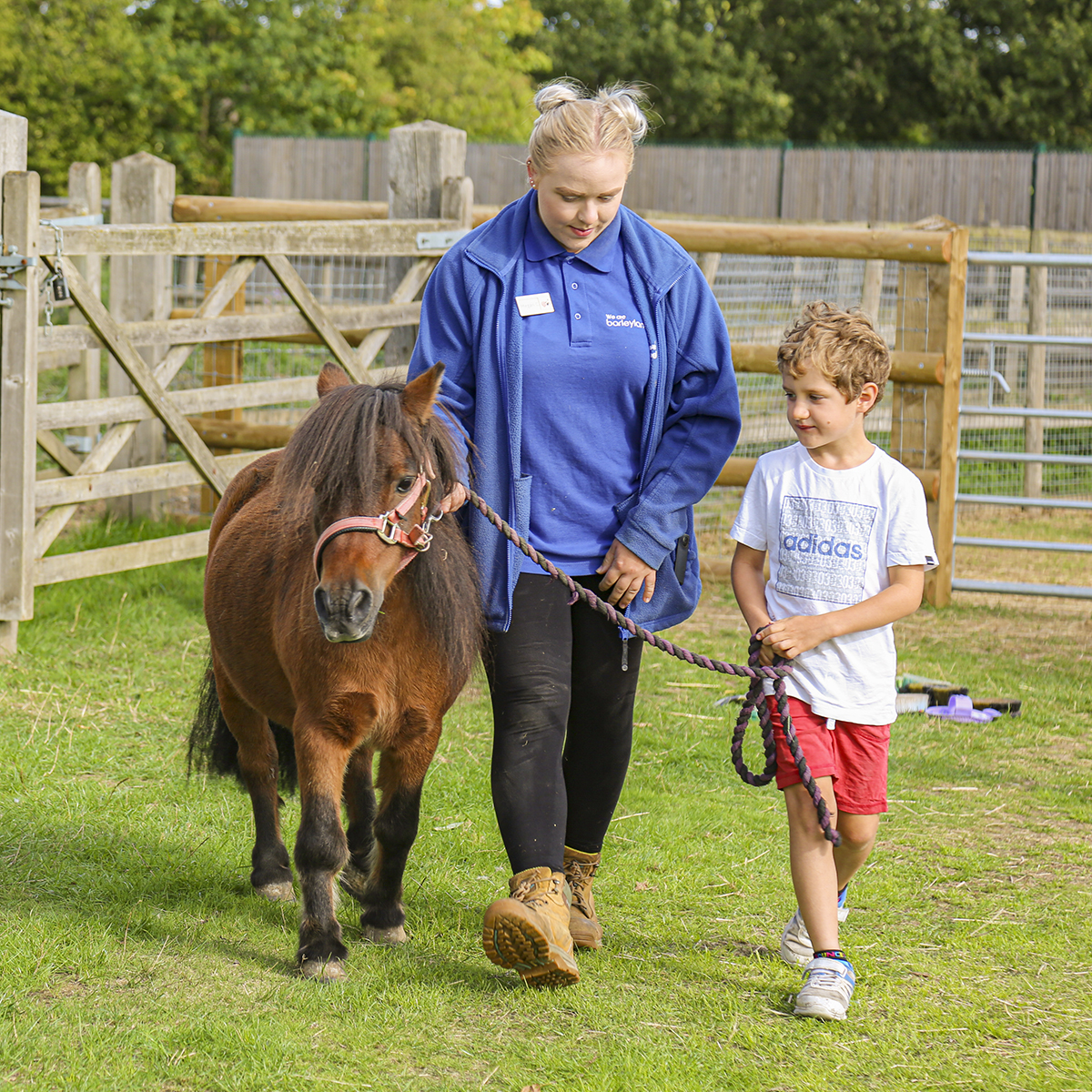 IMG_0158 - Barleylands