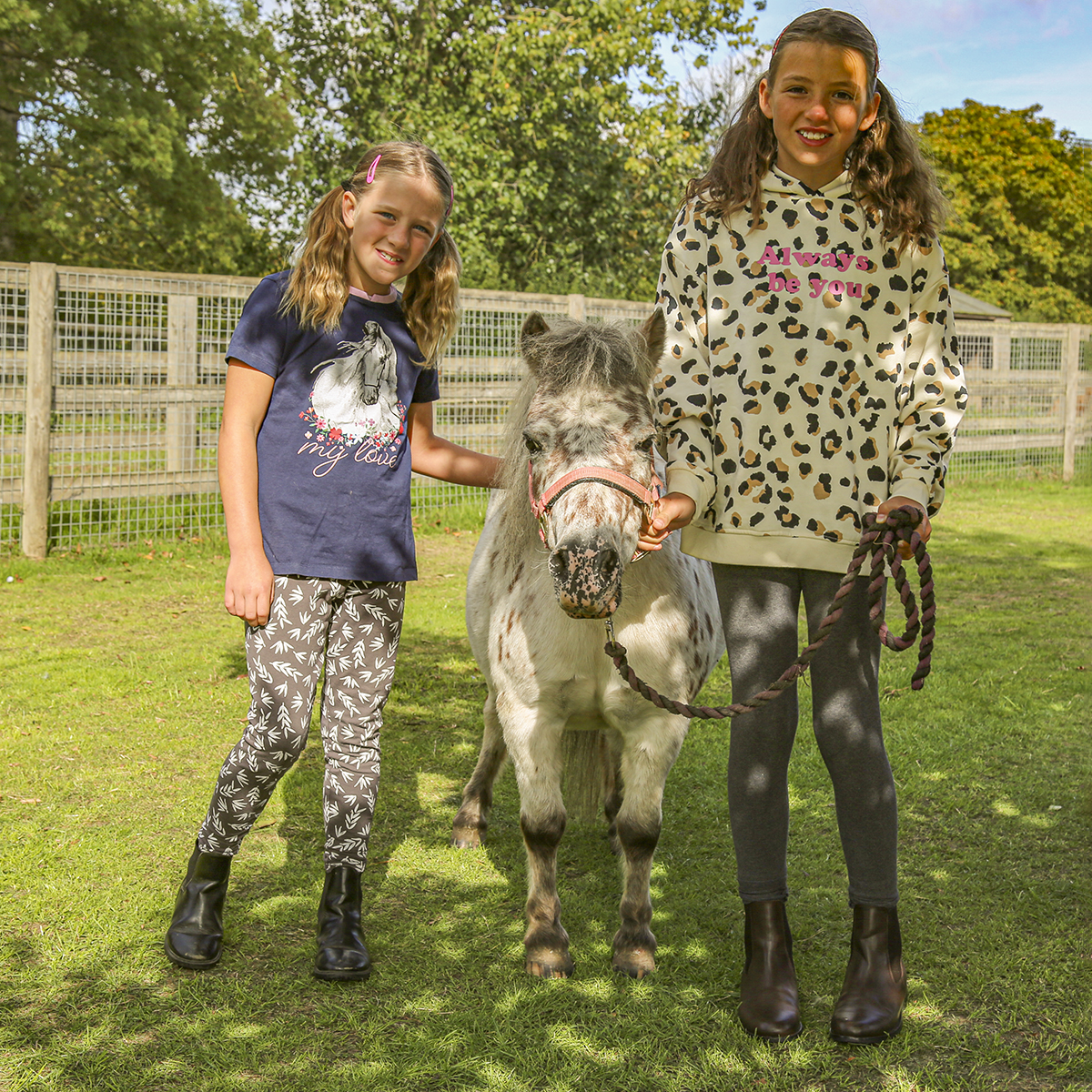 IMG_0197 - Barleylands