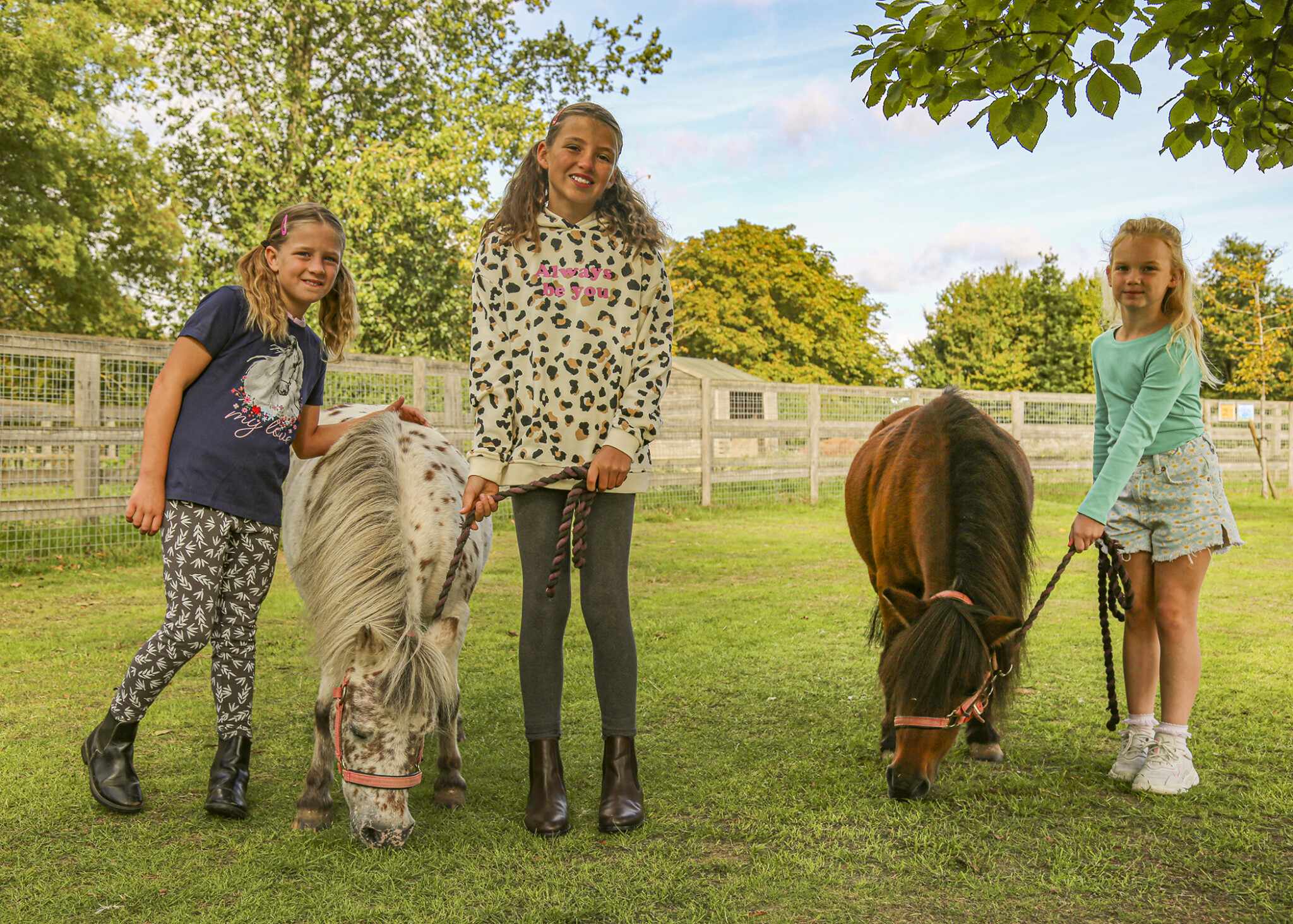 IMG_0201 - Barleylands