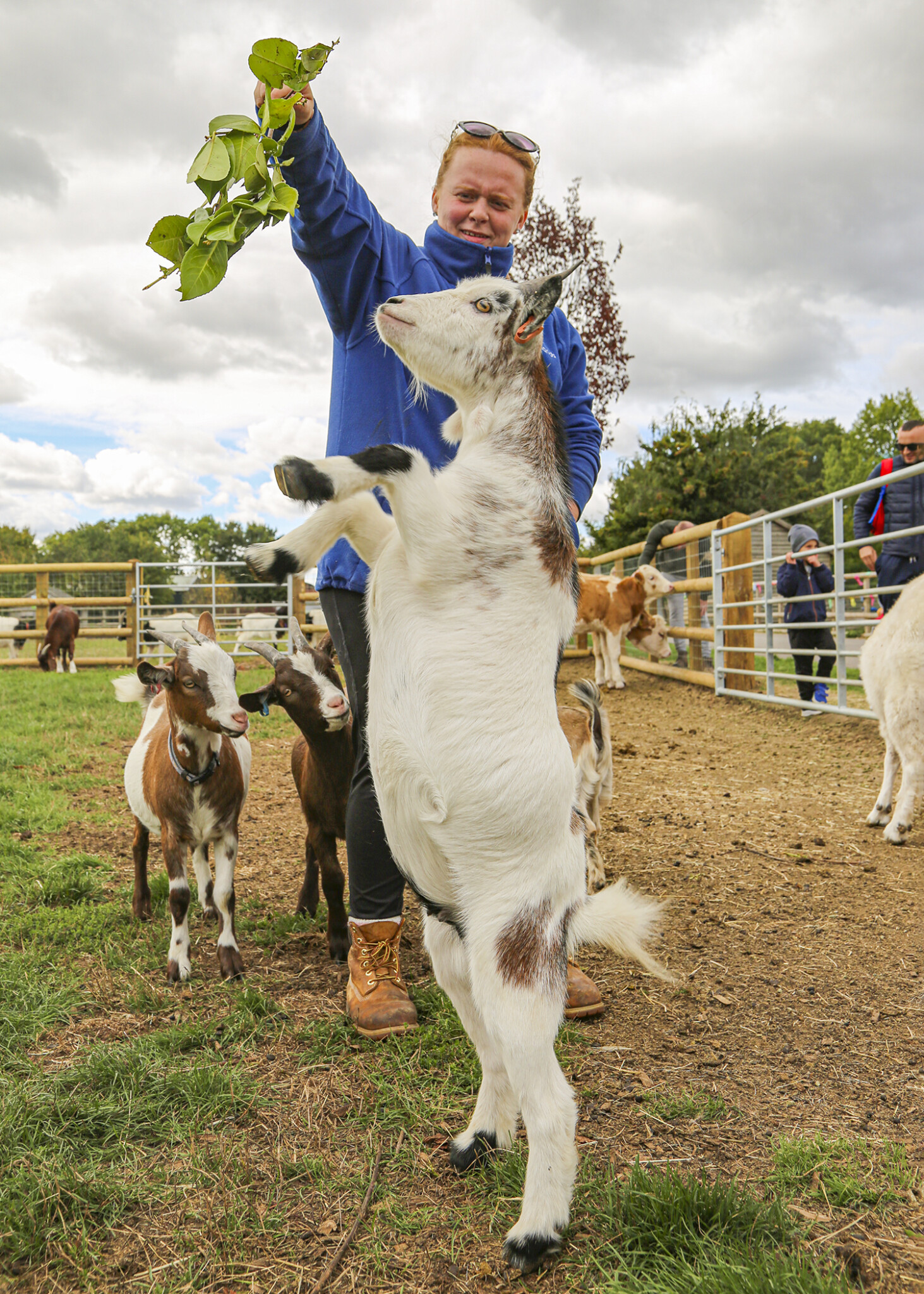 IMG_0510 - Barleylands