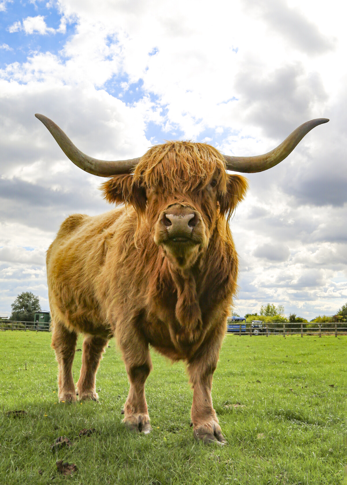 Barleylands Farm Animals Photo Shoot Gallery - Barleylands