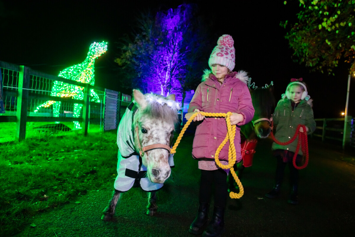 The Luminarium at Barleylands Farm Park 2022 Gallery - Barleylands