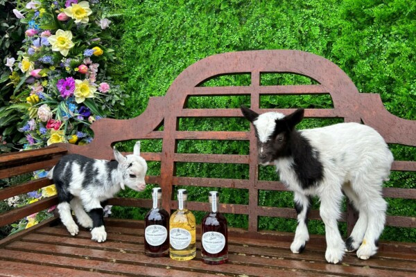 Barleylands Farm Park & Village in Billericay, Essex