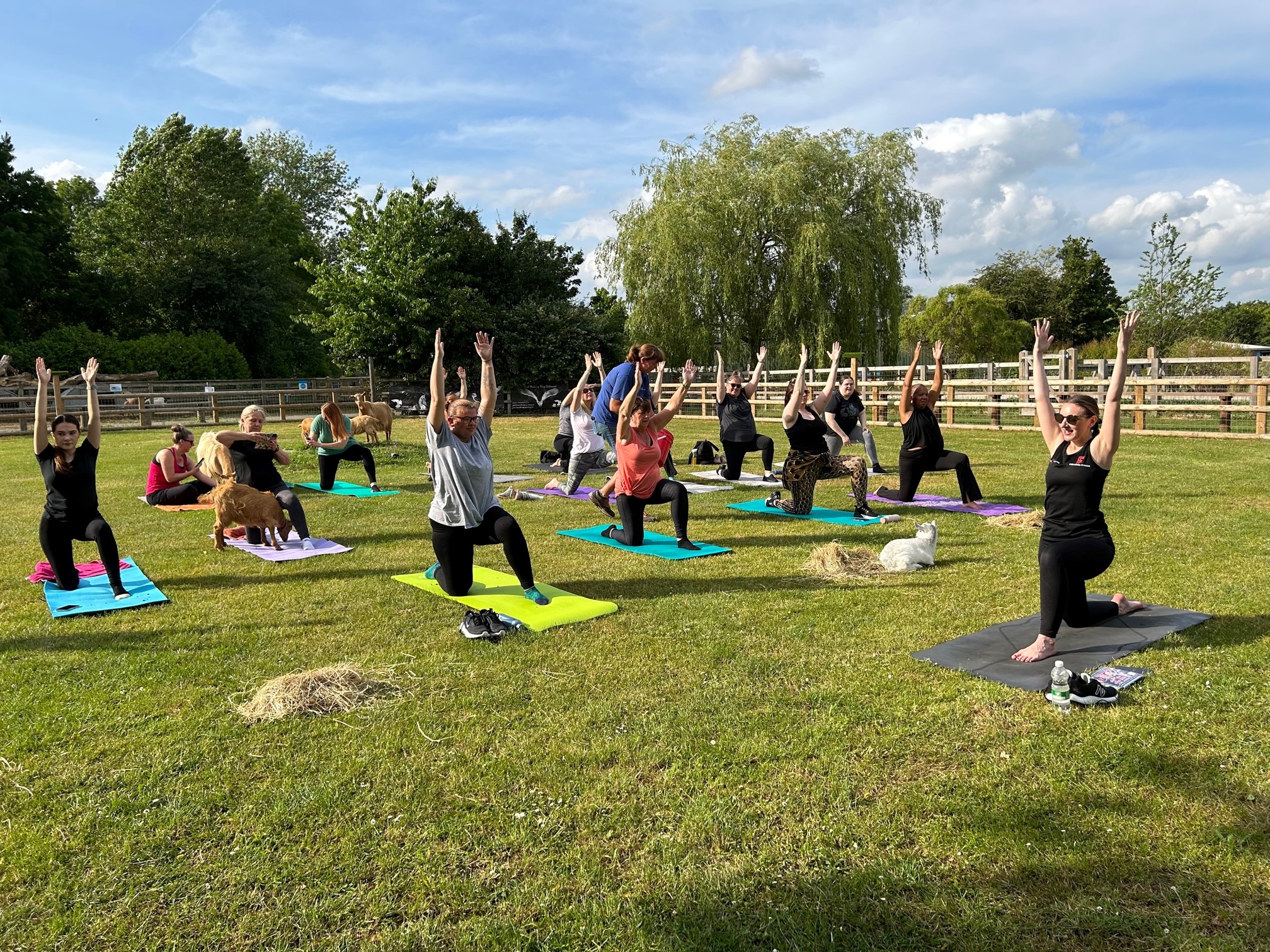 landscape 001 - Barleylands