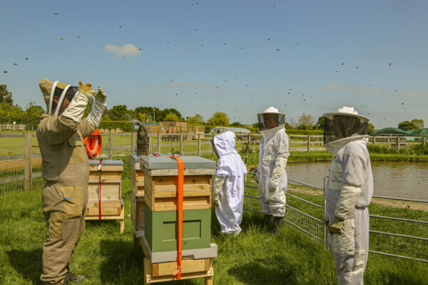 Barleylands Farm Park & Village in Billericay, Essex