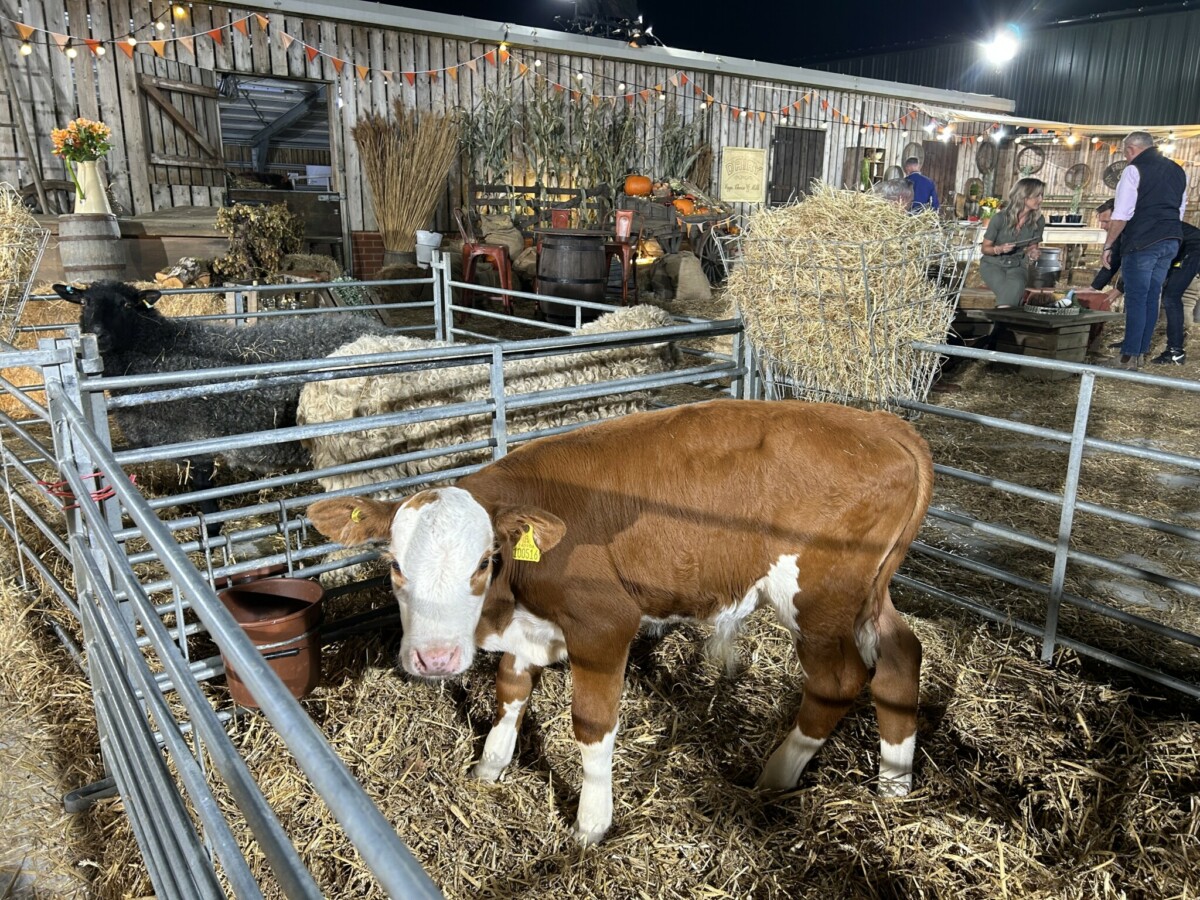 Harvest on the Farm - Barleylands