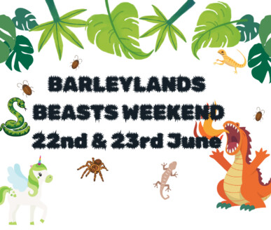 Essex Events at Barleylands Farm Park, The Village and Showground