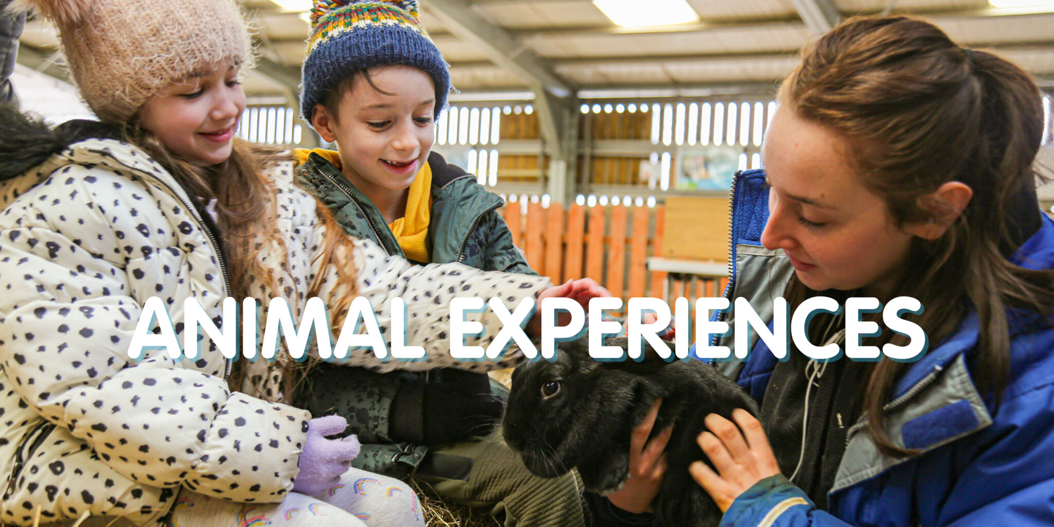 ANIMAL EXPERIENCES - Barleylands