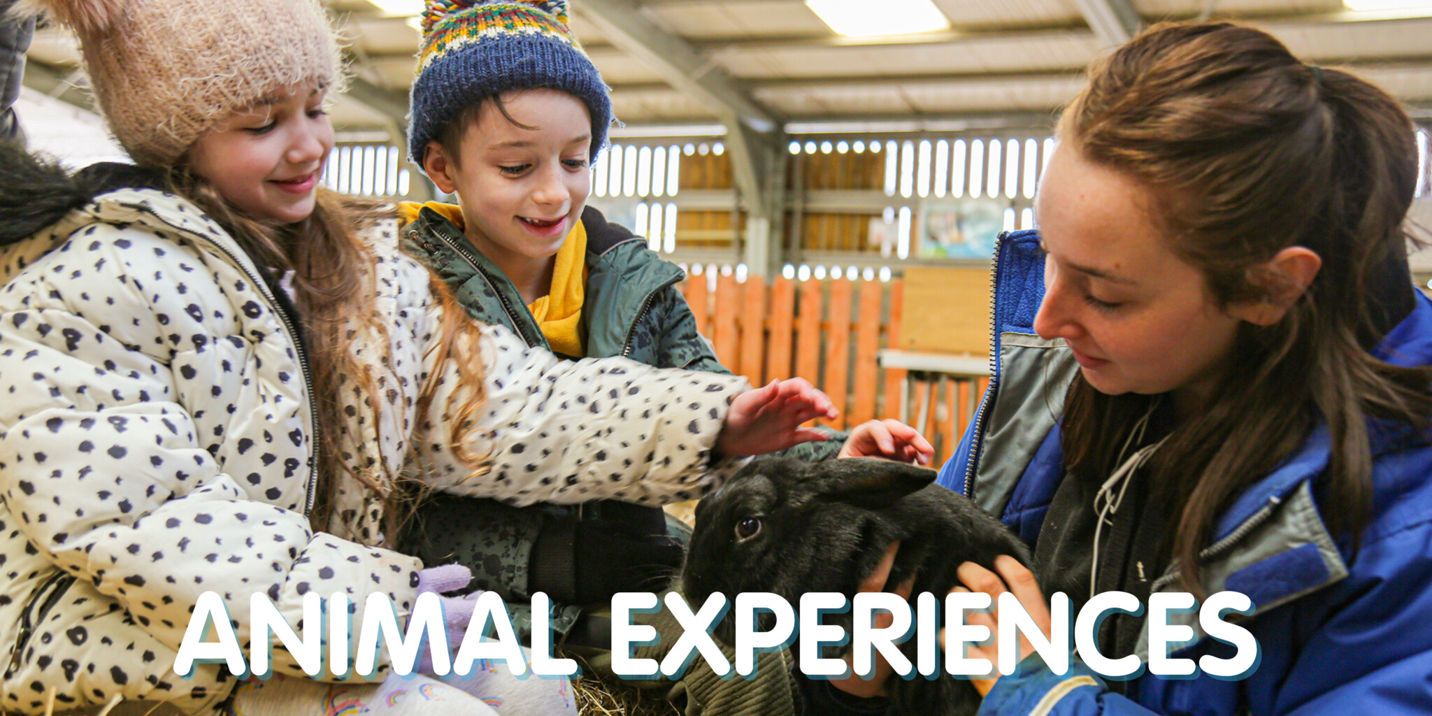 ANIMAL EXPERIENCES - Barleylands
