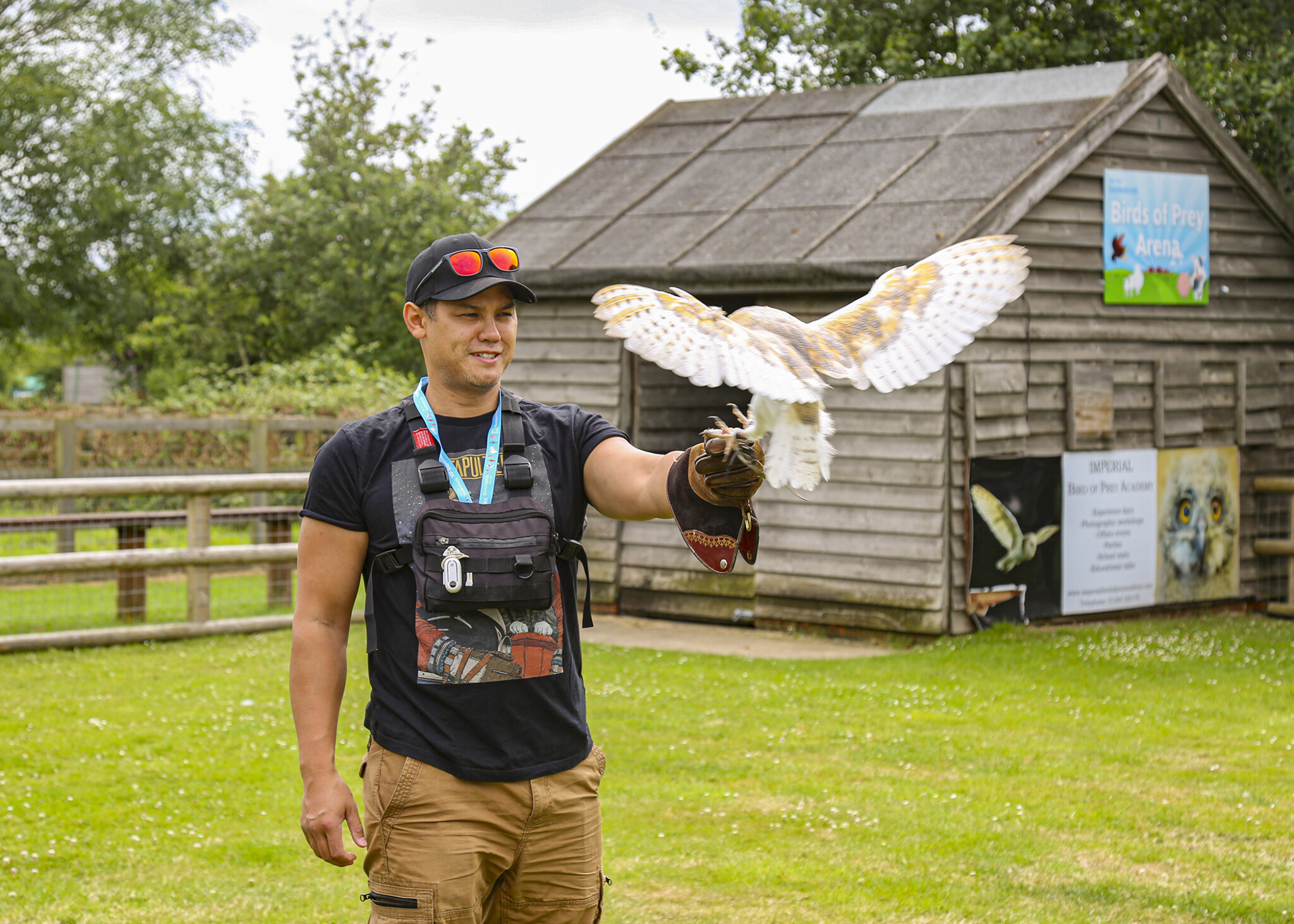 NEW Animal Adoptions at Barleylands - Barleylands