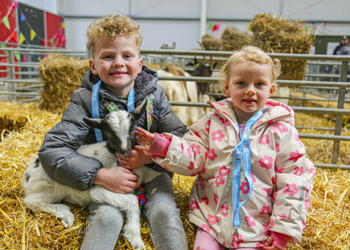 Animal Experiences at Barleylands - Barleylands