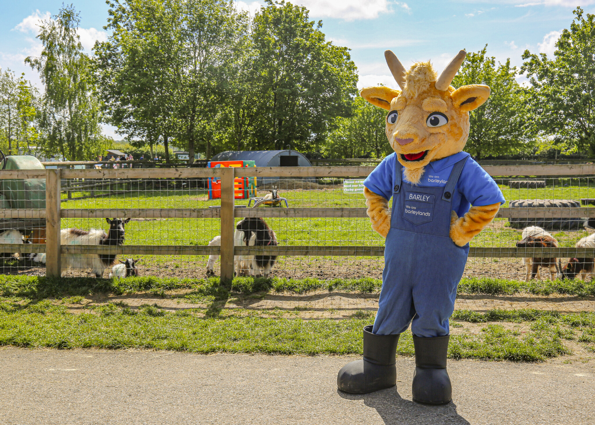 Meet Barley - Barleylands