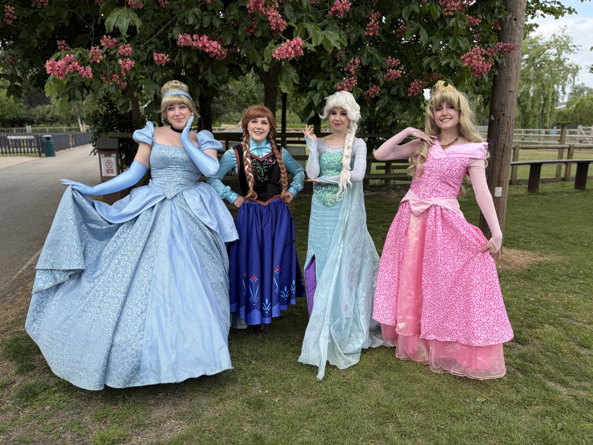 Princess Weekend 2026 - Barleylands